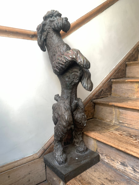 Bronze sculpture of a Poodle by Renè Schorr – Jane Knapp